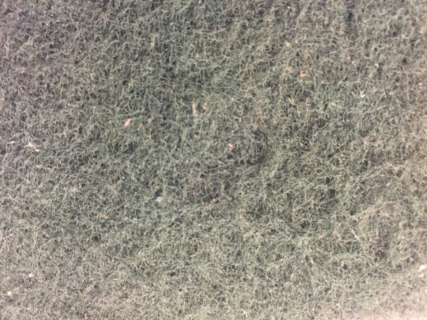 Dull grey green fibrous fabric texture | Free Textures