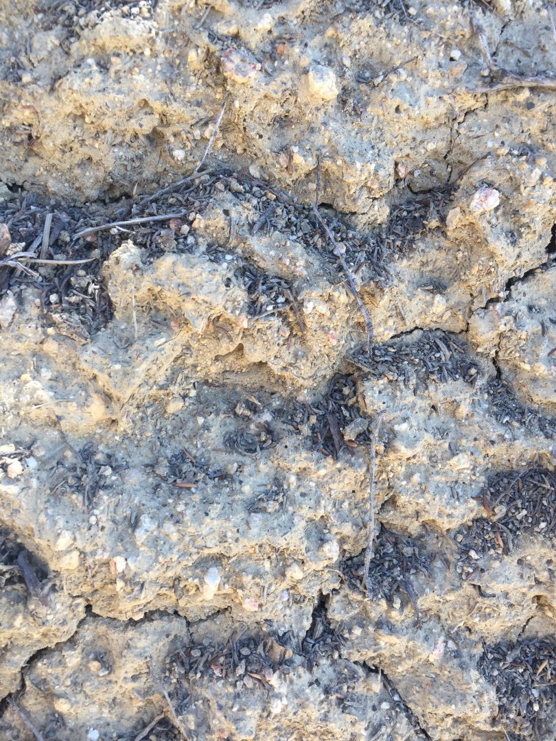 Light brown dried earth with large cracks | Free Textures