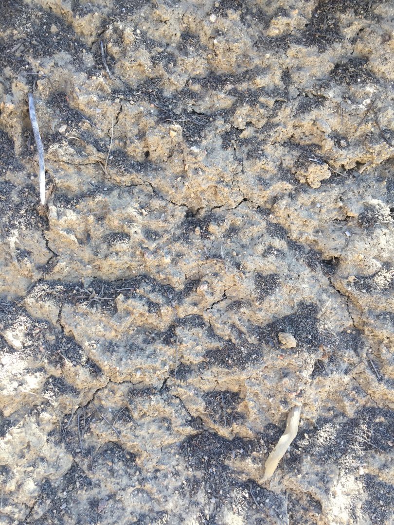 Light brown cracked dirt and fine dark particles | Free Textures