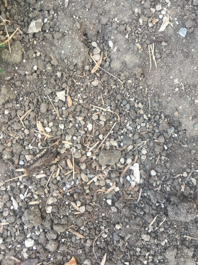 Dirt with dried rocks and pieces of wood | Free Textures