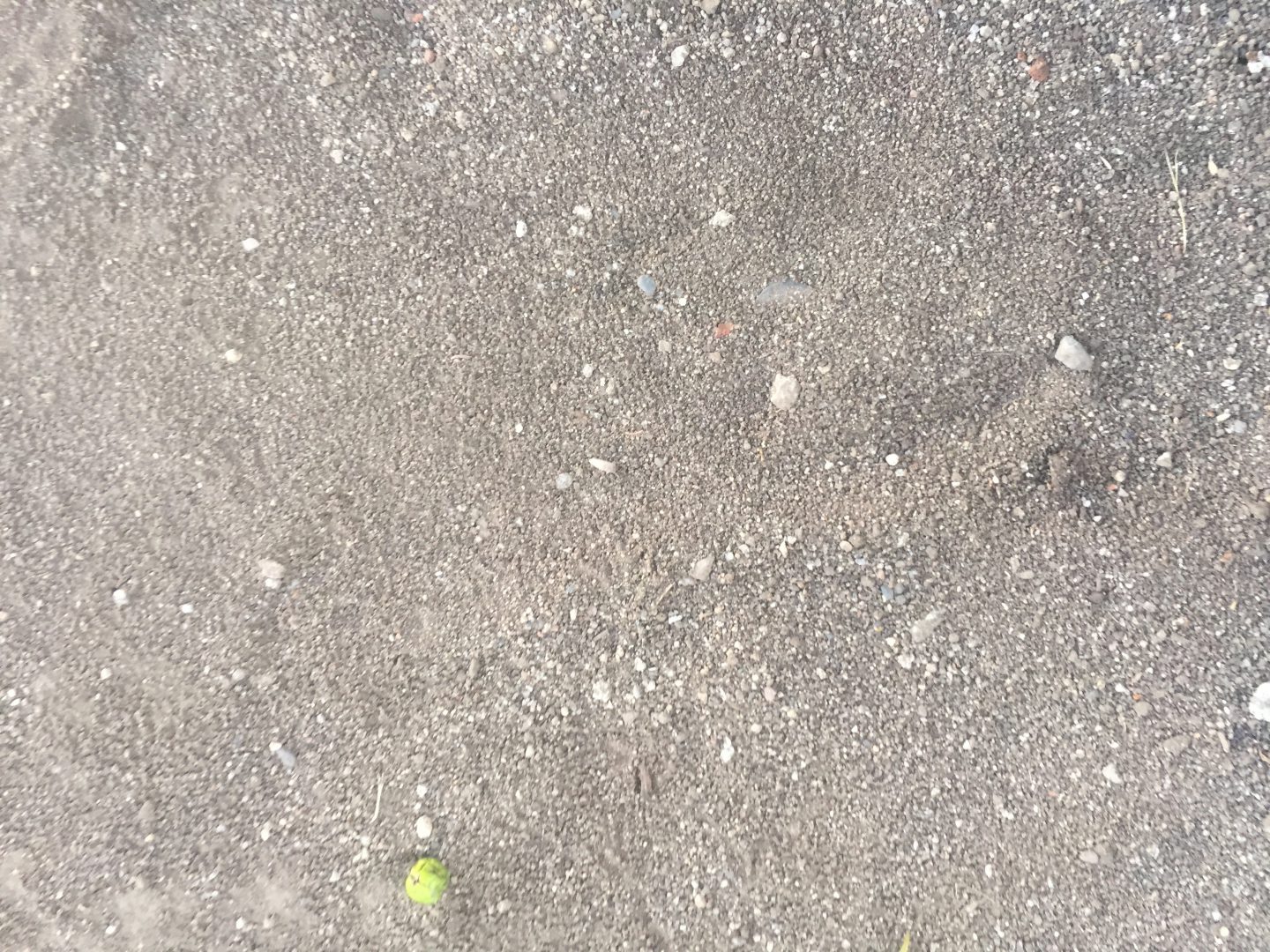 Light grey earth fine dirt & mix rocks | Free Textures