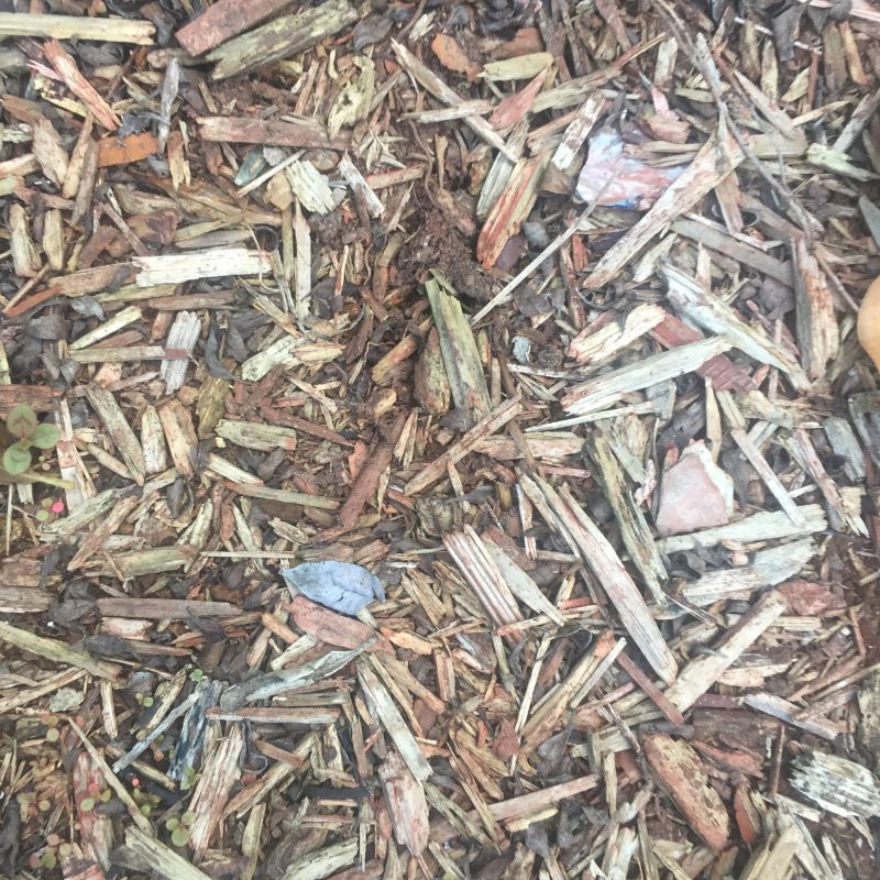 All Categories | Free Textures