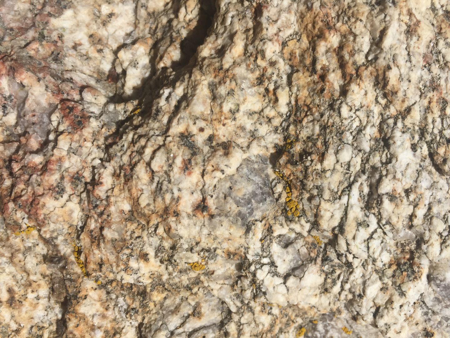 Close Up Granite Rock Texture | Free Textures
