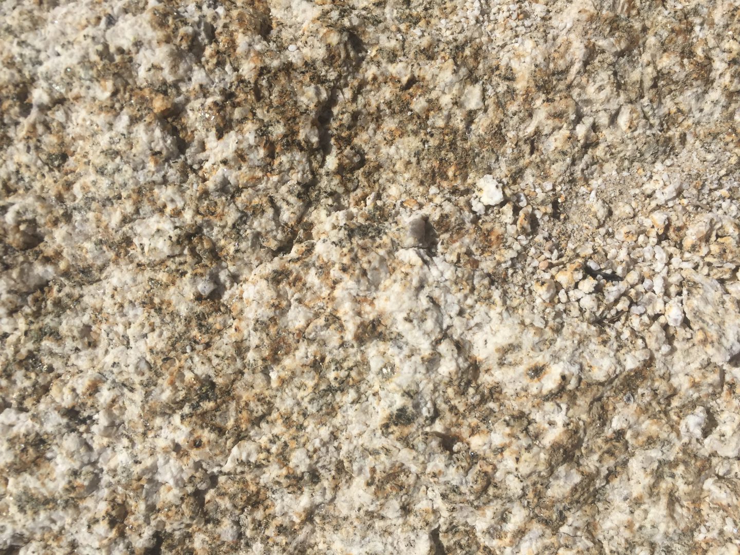 Bumpy Granite Rock Close Up Stock Photo | Free Textures