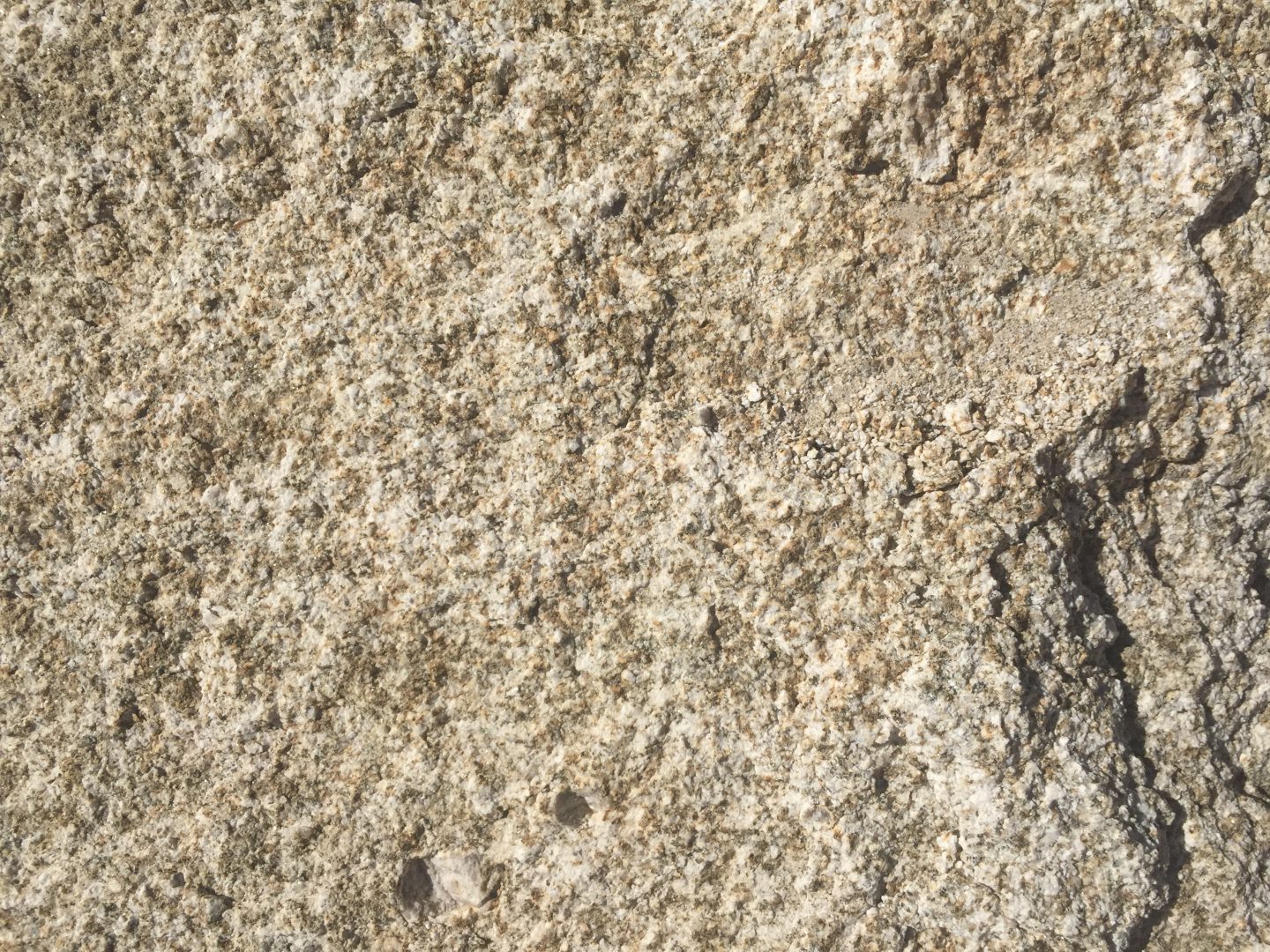Noisy white, grey and gold rock texture | Free Textures