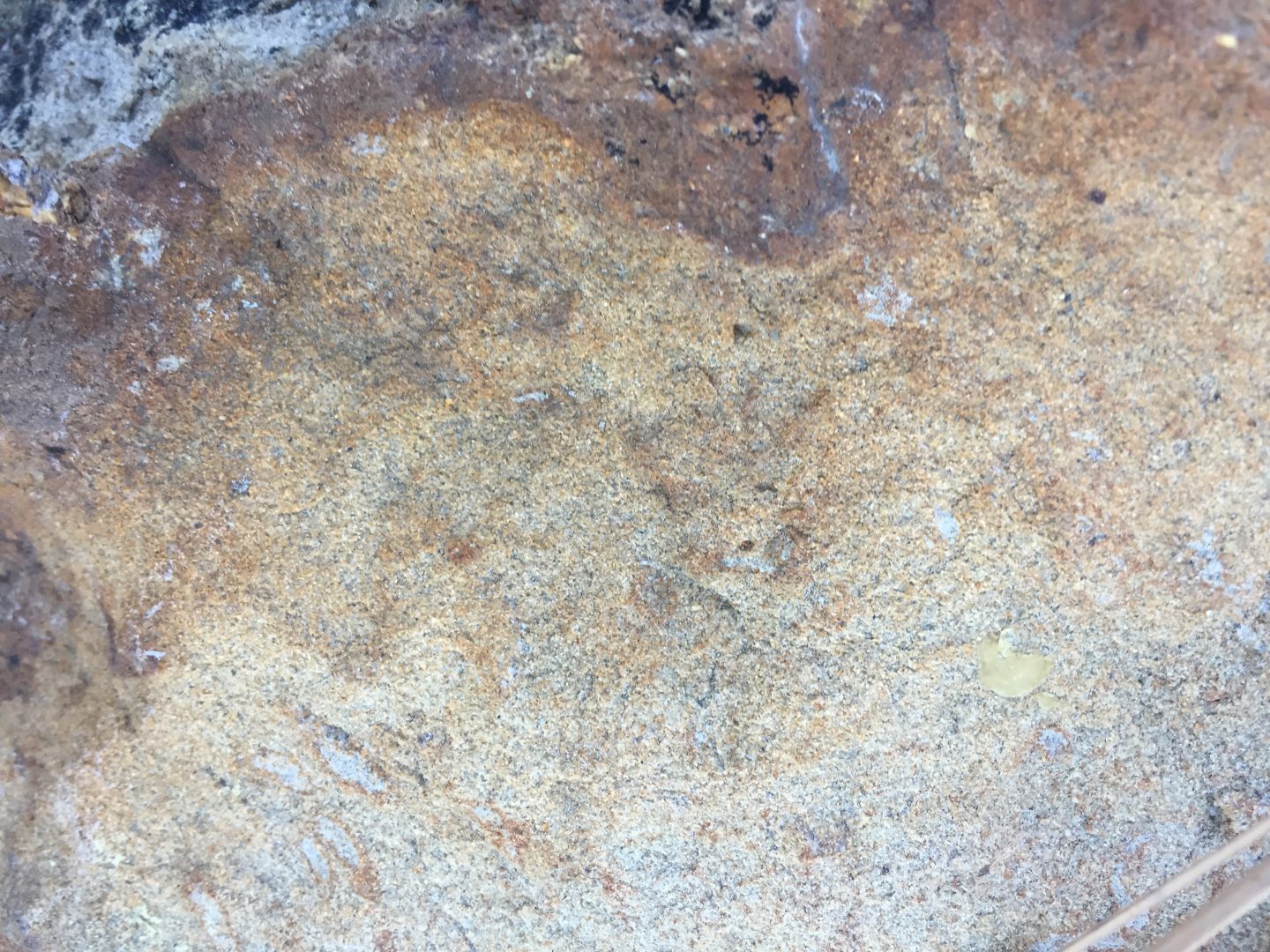 Rust colored noisy rock texture | Free Textures
