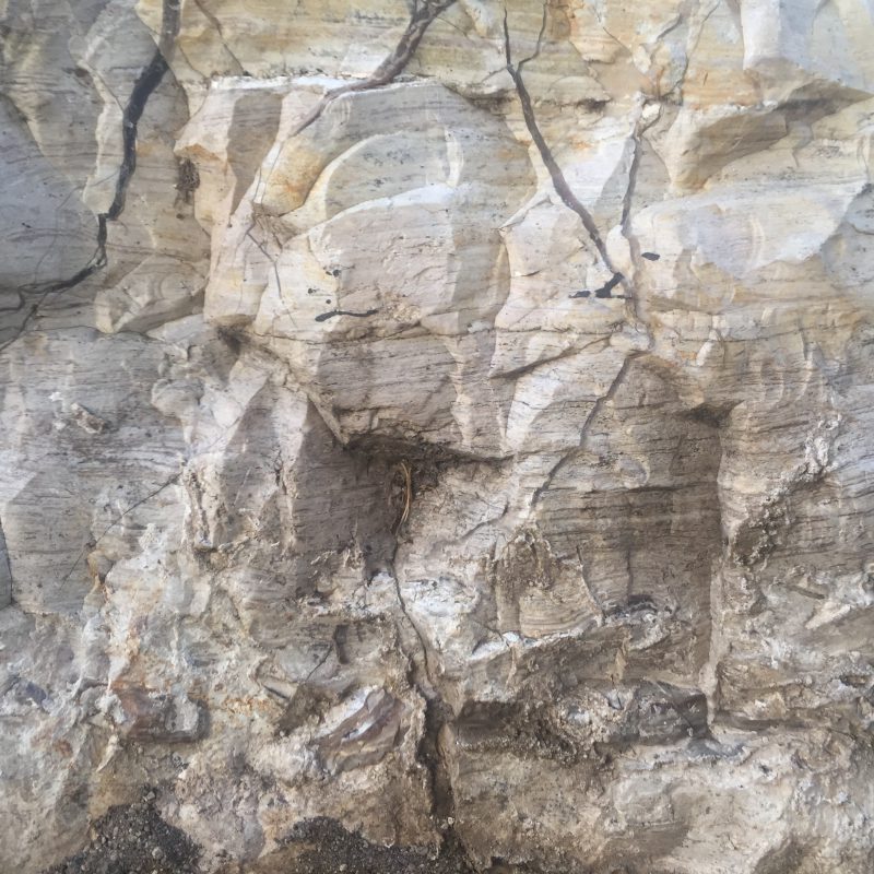 Free High Quality Texture Downloads | Everytexture.com