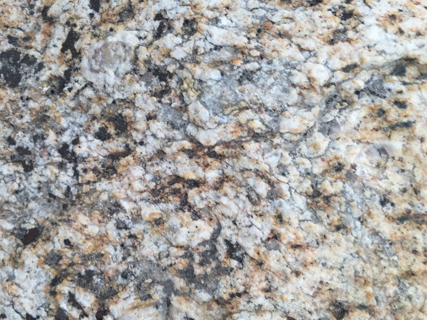 Spotted rock with bumpy texture | Free Textures