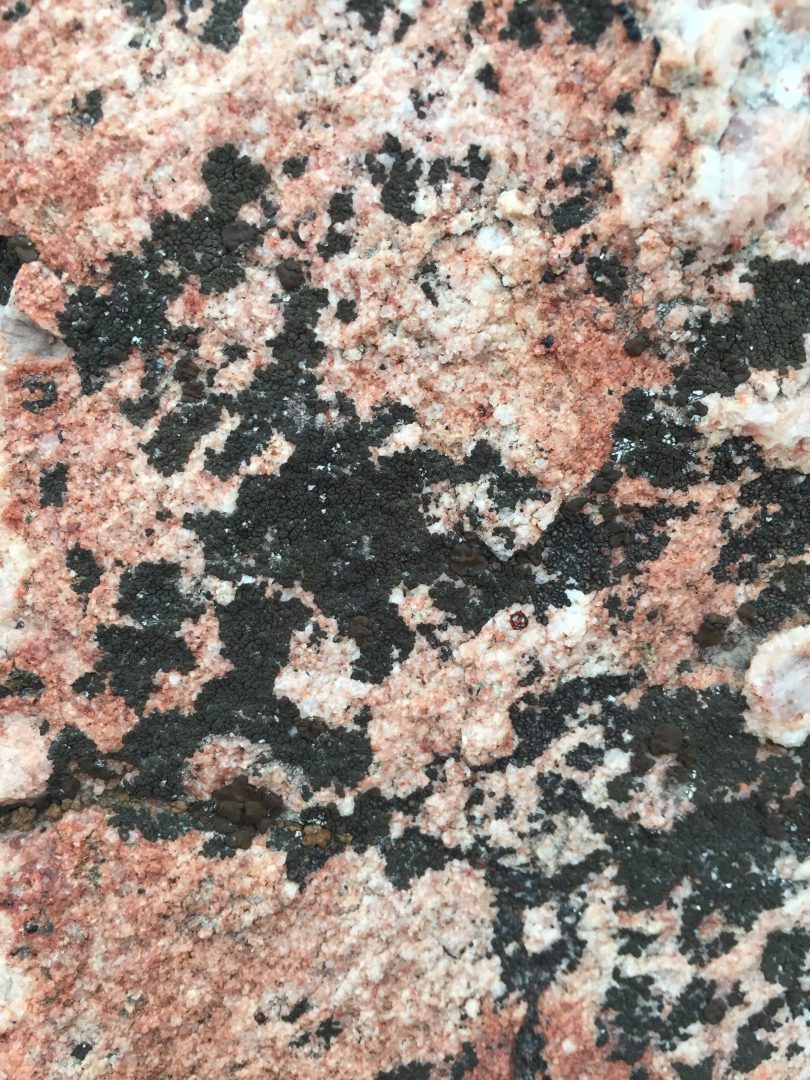 Close Up Pink Rock With Black Spots | Free Textures