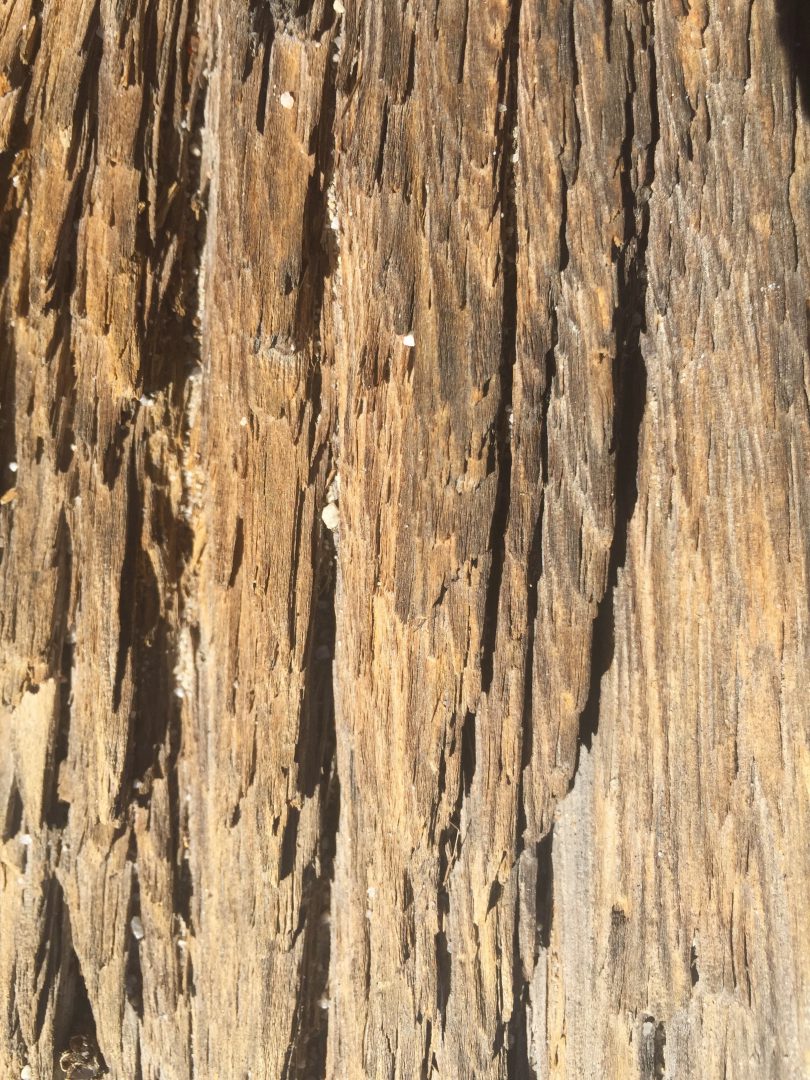 Splintered Dried Wood Stock Texture | Free Textures