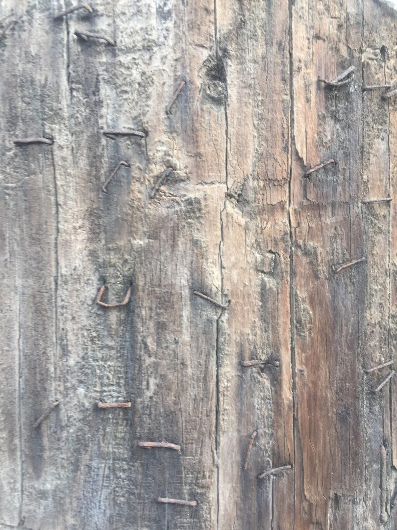 Telephone Pole close up with rusted staples | Free Textures
