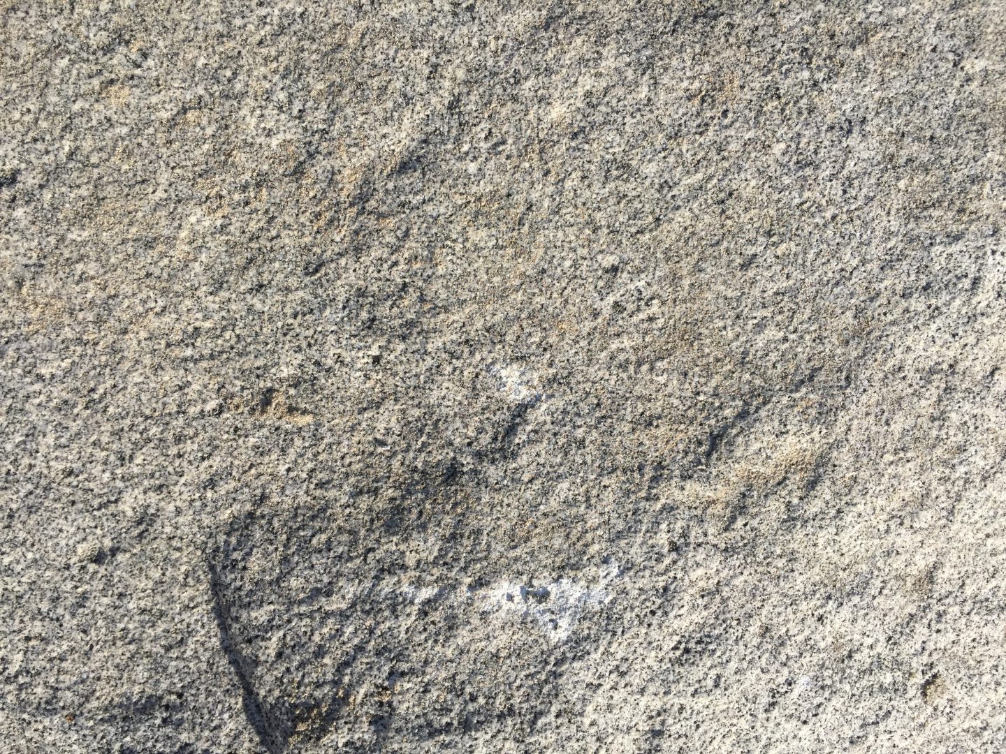 Close up of light grey rock texture | Free Textures