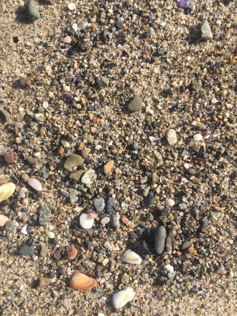 Sea shells and pebbles over granular sand | Free Textures