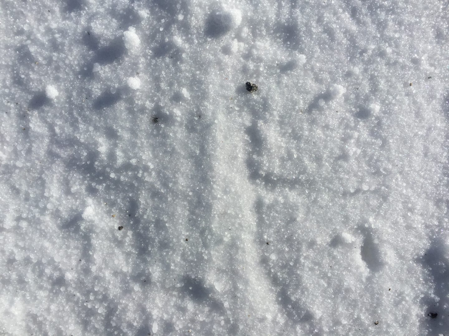 Close up texture of white snow bed | Free Textures