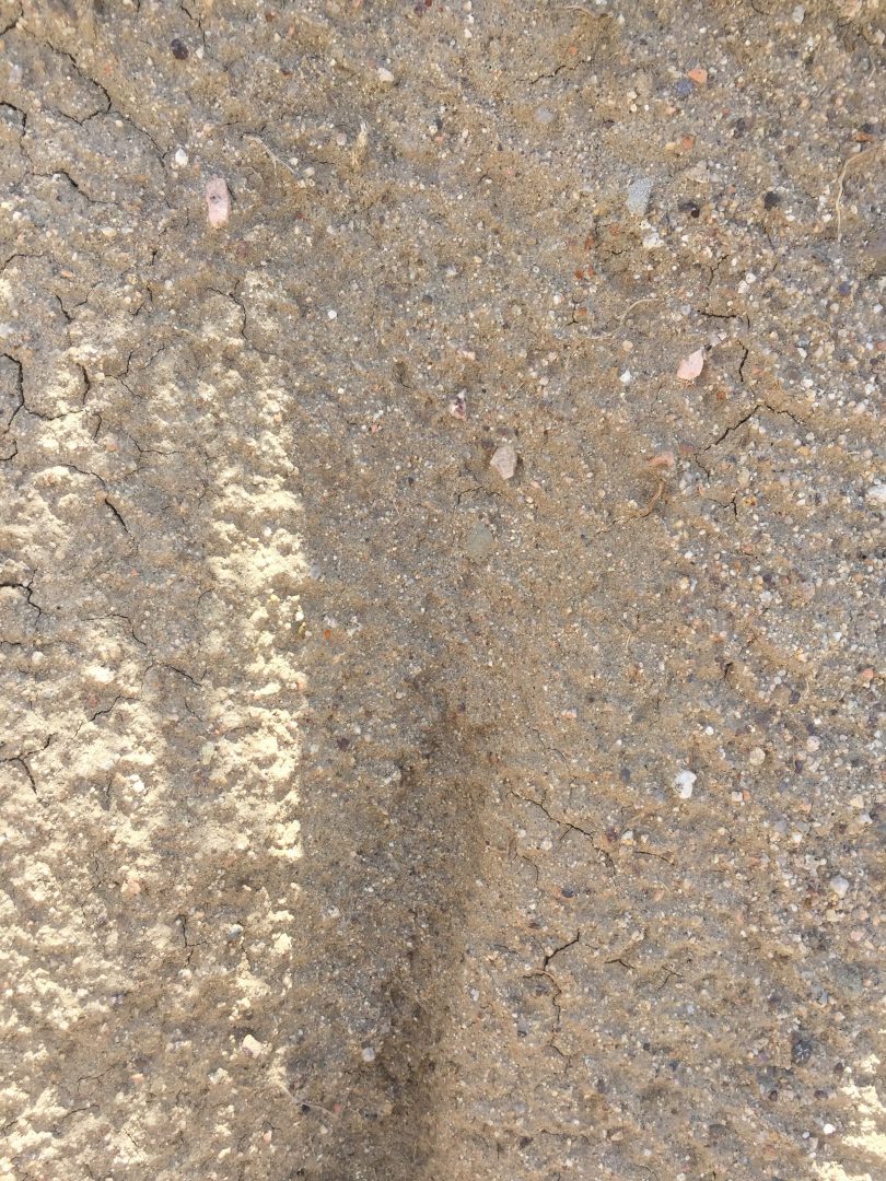 Light brown dirt close up, dried and cracking | Free Textures