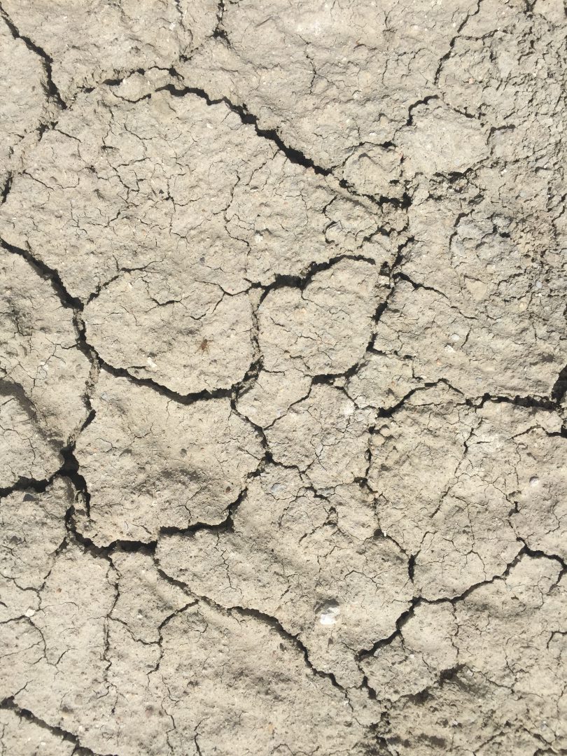 Light brown dried up dirt with splintering cracks | Free Textures