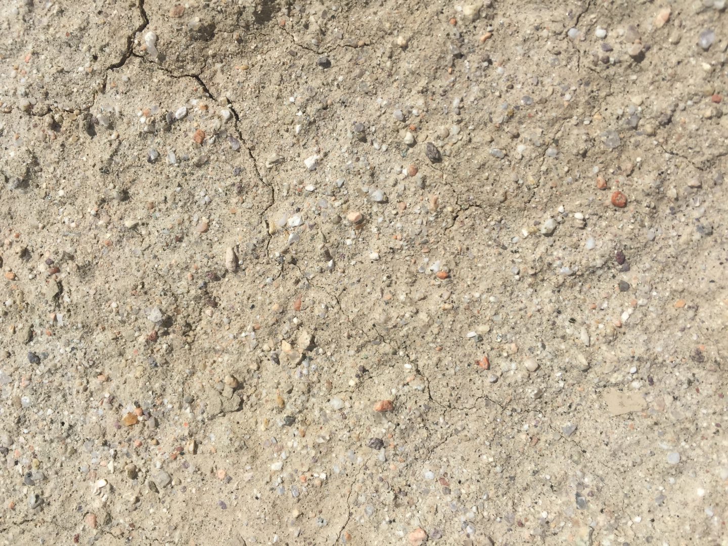 Coarse dirt texture with pebbles and rocks | Free Textures