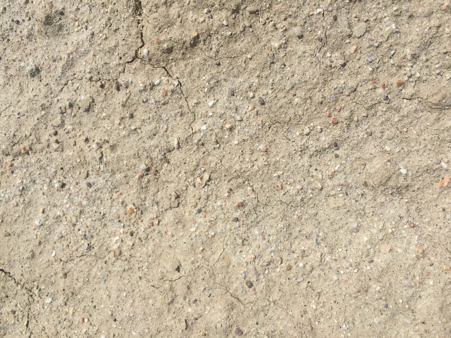 Light brown dirt with cracks and embedded pebbles | Free Textures