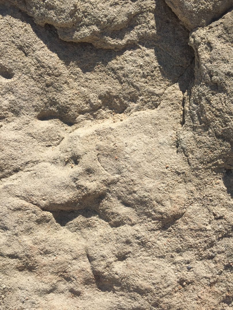 Light brown rock face with bulging rocks and light texture | Free Textures