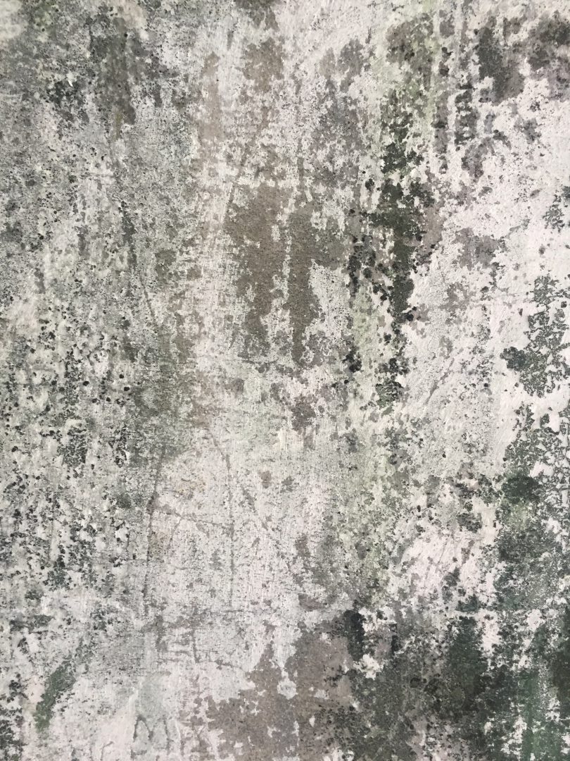 White concrete wall with chips, scratches and grunge | Free Textures