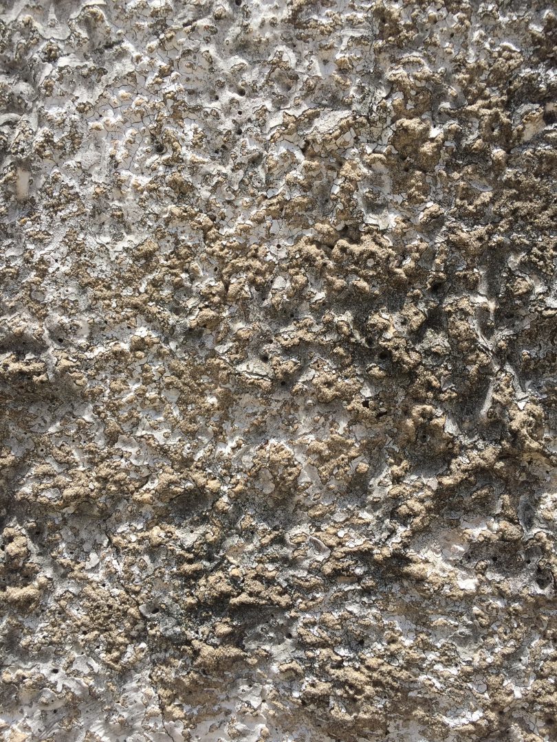 Brown sandy stucco with bits of white cracking paint | Free Textures
