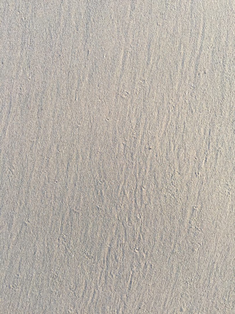 Brightly lit sandy beach texture | Free Textures