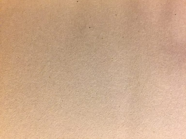 Paper grain close up | Free Textures