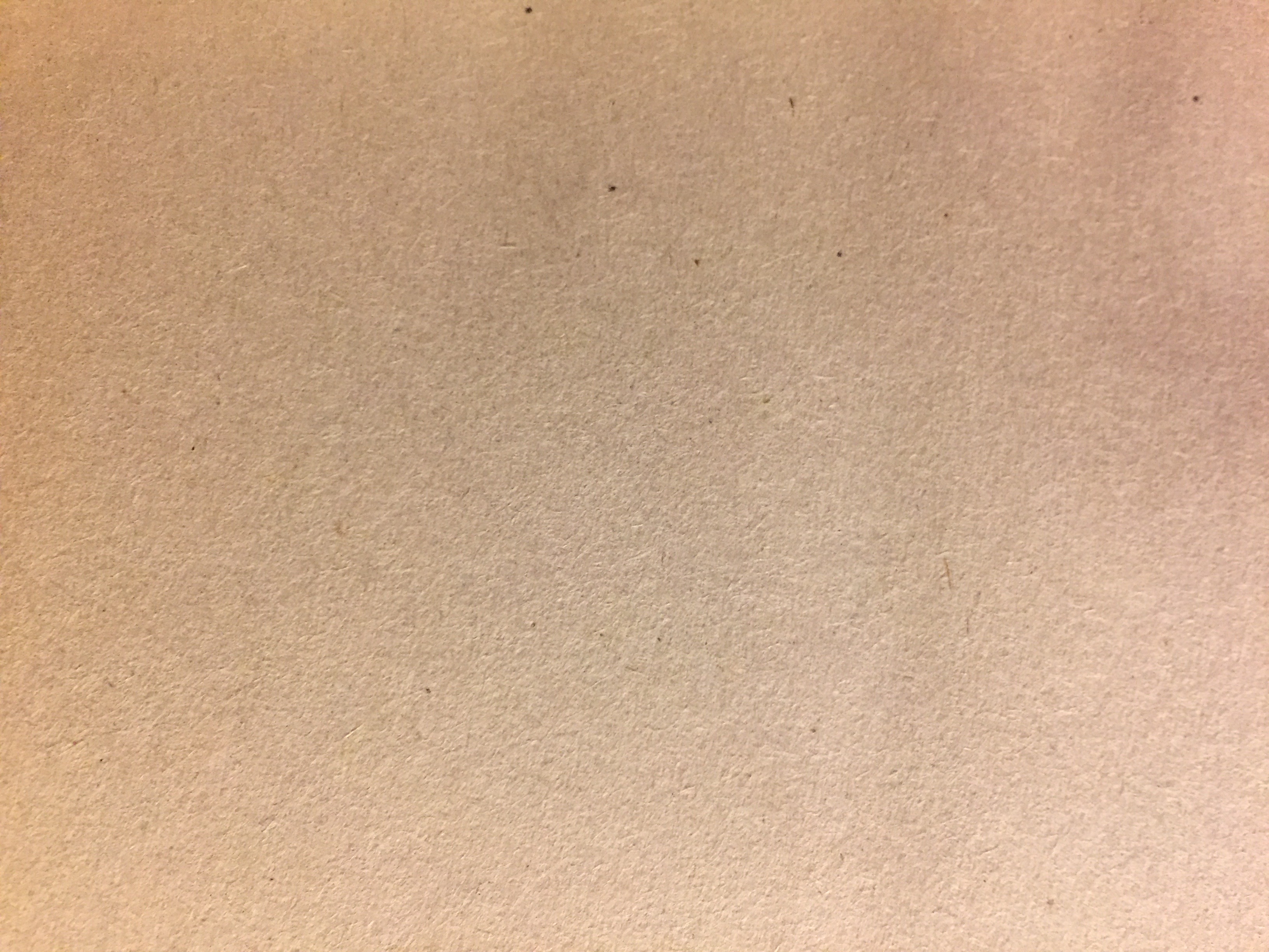 Paper Grain Close Up Free Textures
