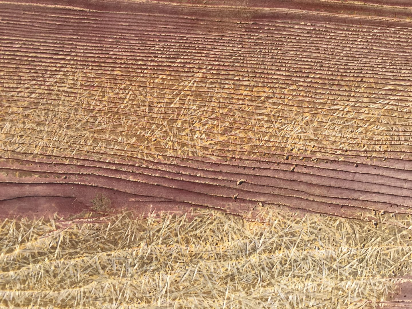 Fake wood with pale yellow fibers | Free Textures