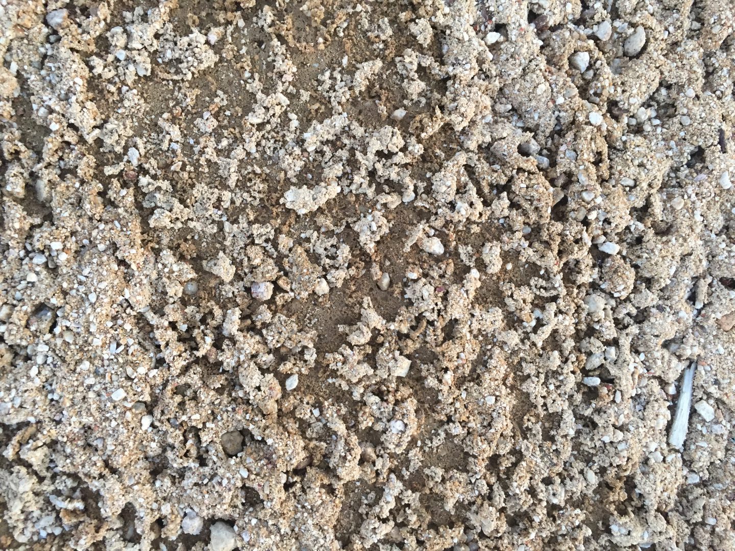 Dried crumbled dirt | Free Textures