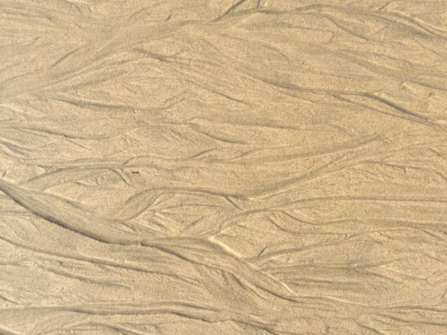 Light tan sand, wet and featuring groves | Free Textures