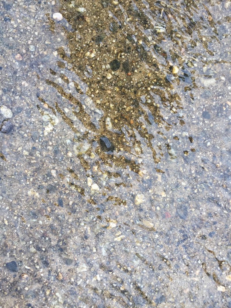 Thin layer of water over rocky beach surface | Free Textures