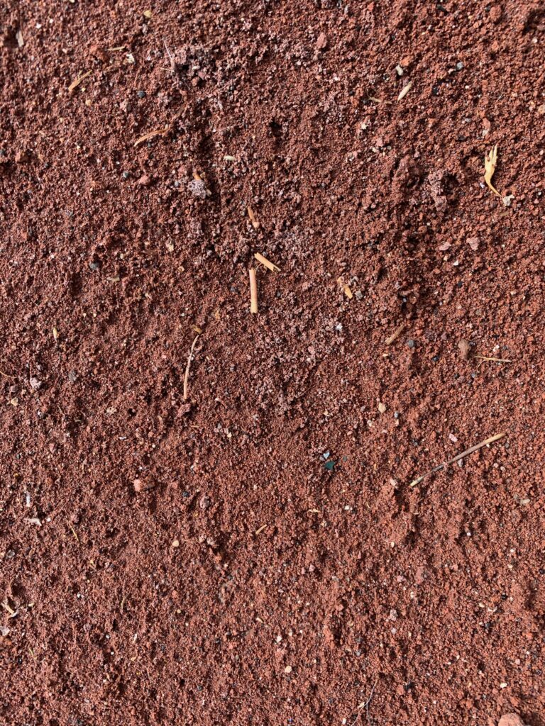 everytexture.com-stock-nature-dirt-texture-00058 | Free Textures