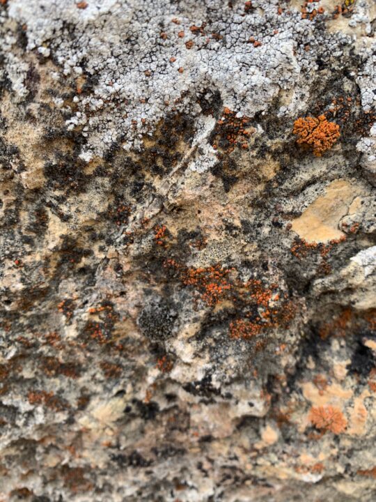 everytexture.com-stock-rocks-texture-00101 | Free Textures