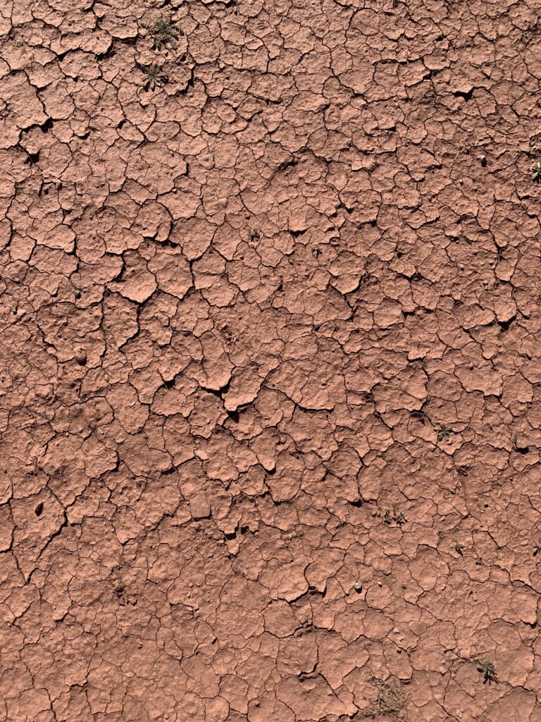 everytexture.com-stock-nature-dirt-texture-00062 | Free Textures
