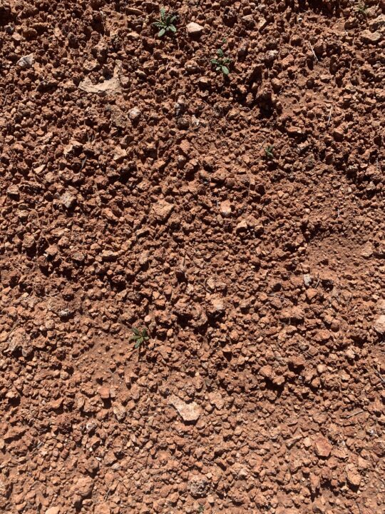 everytexture.com-stock-nature-dirt-texture-00063 | Free Textures