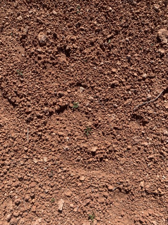 everytexture.com-stock-nature-dirt-texture-00064 | Free Textures