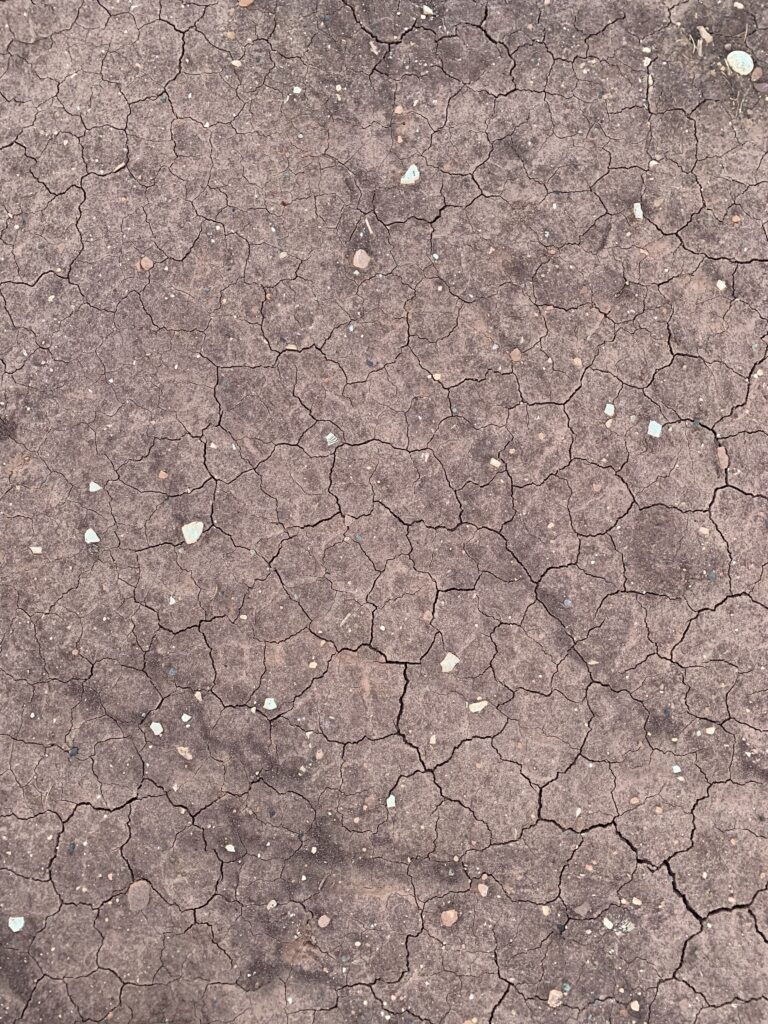 everytexture.com-stock-nature-dirt-texture-00066 | Free Textures