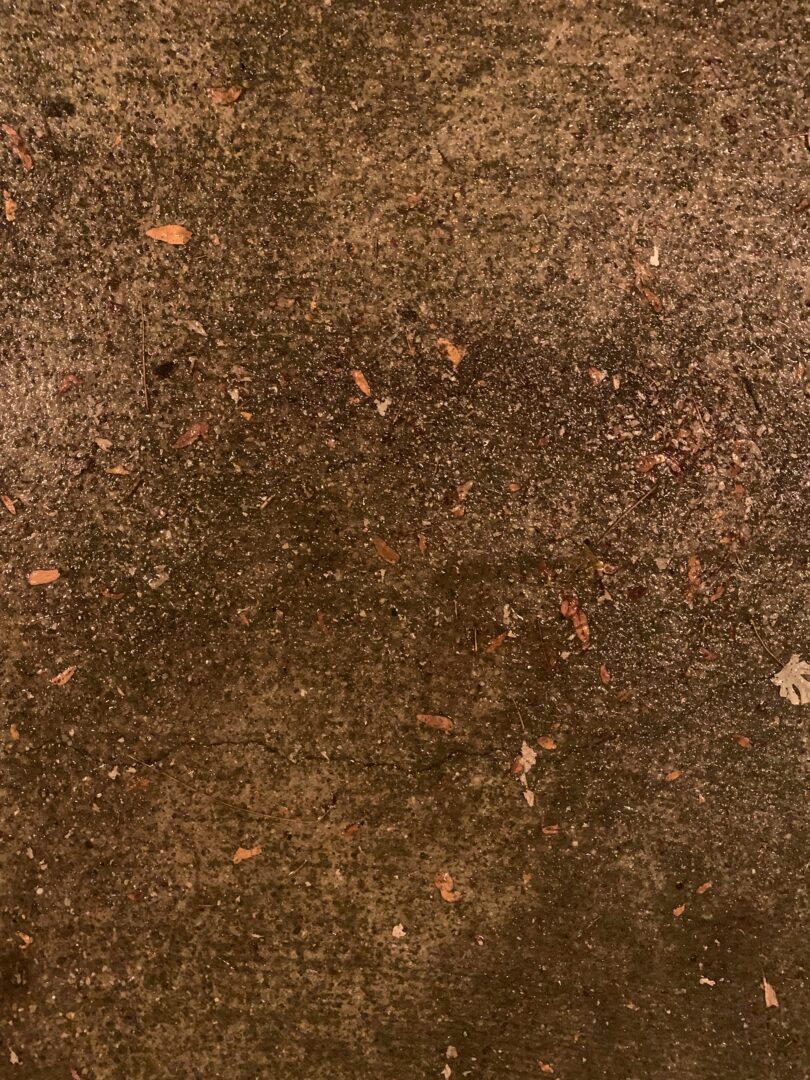 everytexture.com-stock-pavement-concrete-texture-00075 | Free Textures