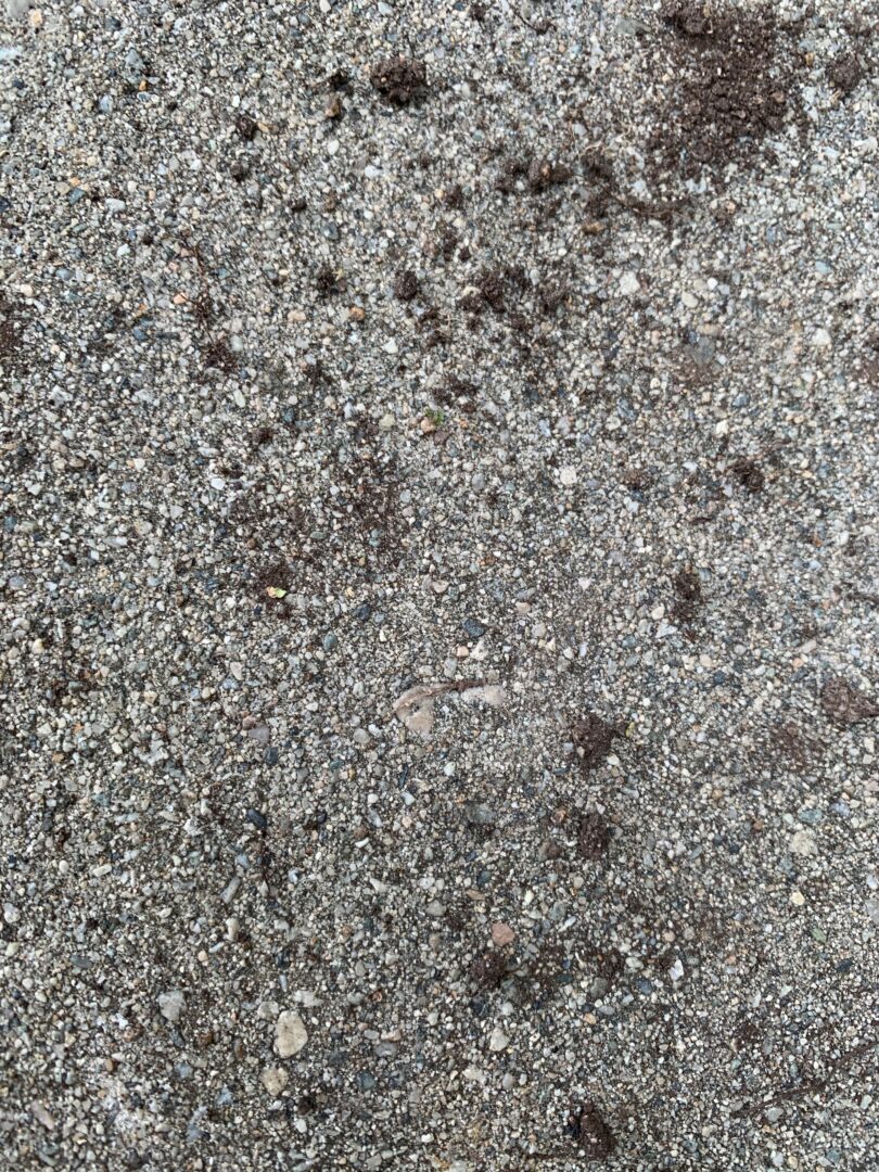 everytexture.com-stock-pavement-texture-00101 | Free Textures