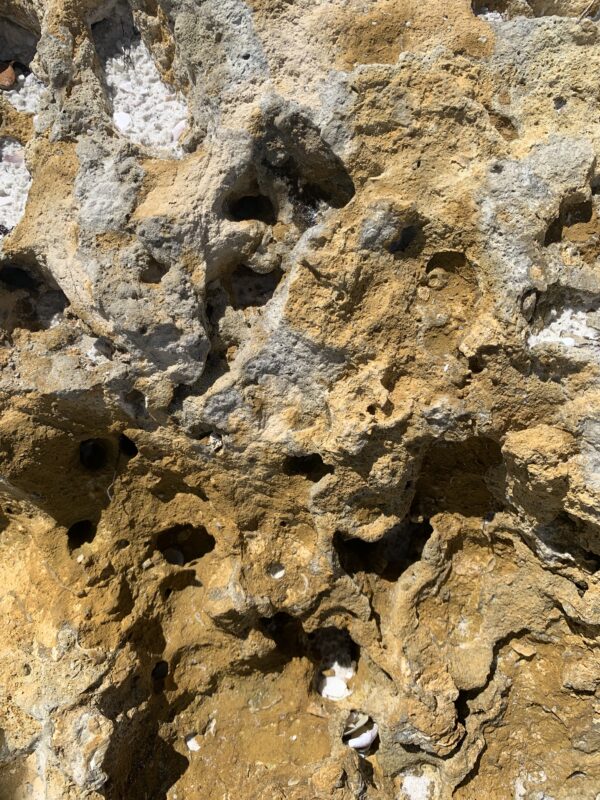 everytexture.com-stock-rocks-texture-00110 | Free Textures