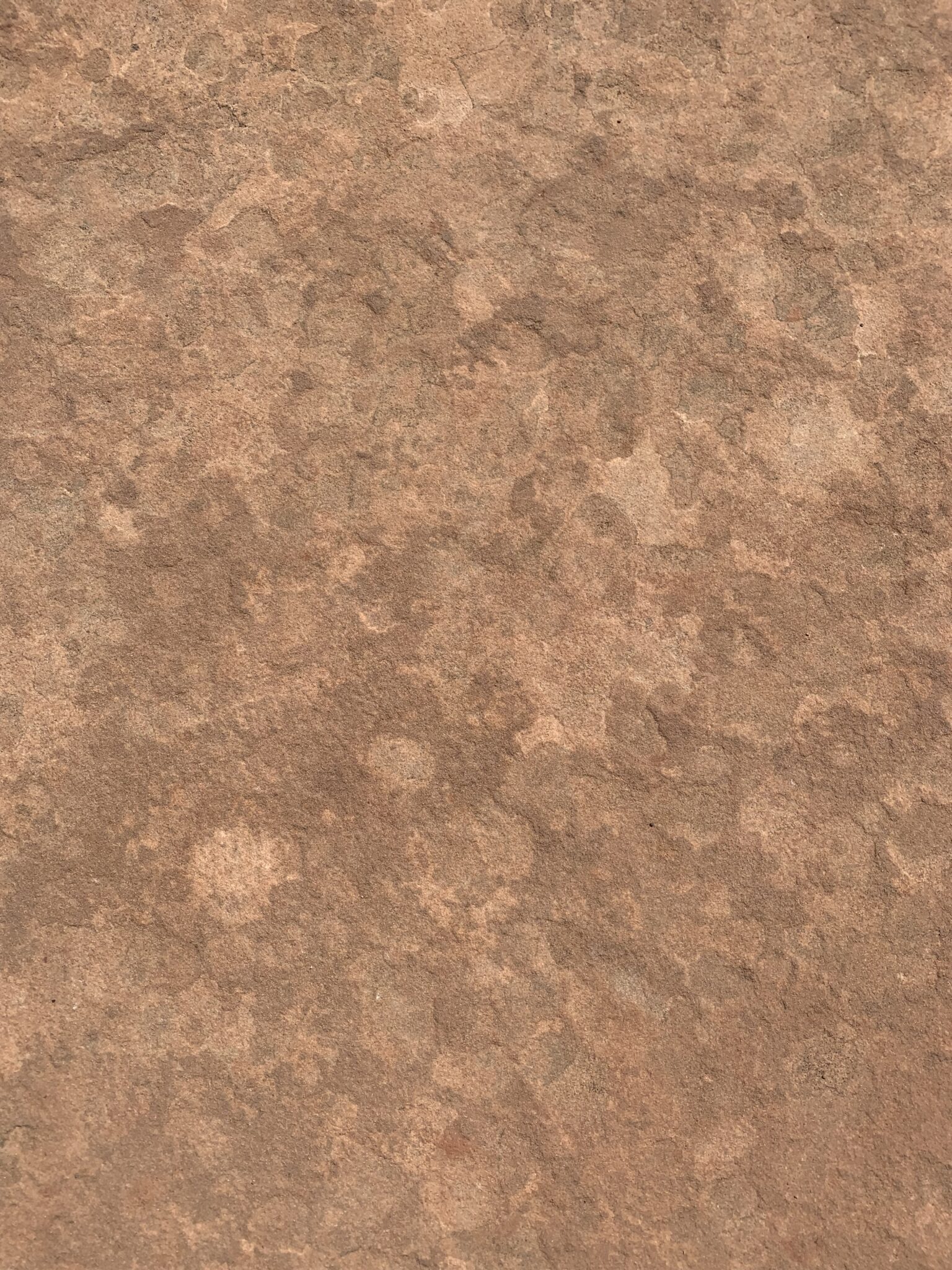 everytexture.com-stock-rocks-texture-00113 | Free Textures