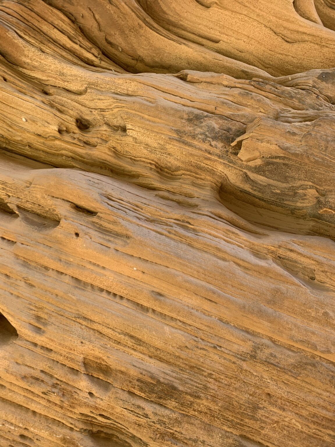 everytexture.com-stock-rocks-texture-00116 | Free Textures