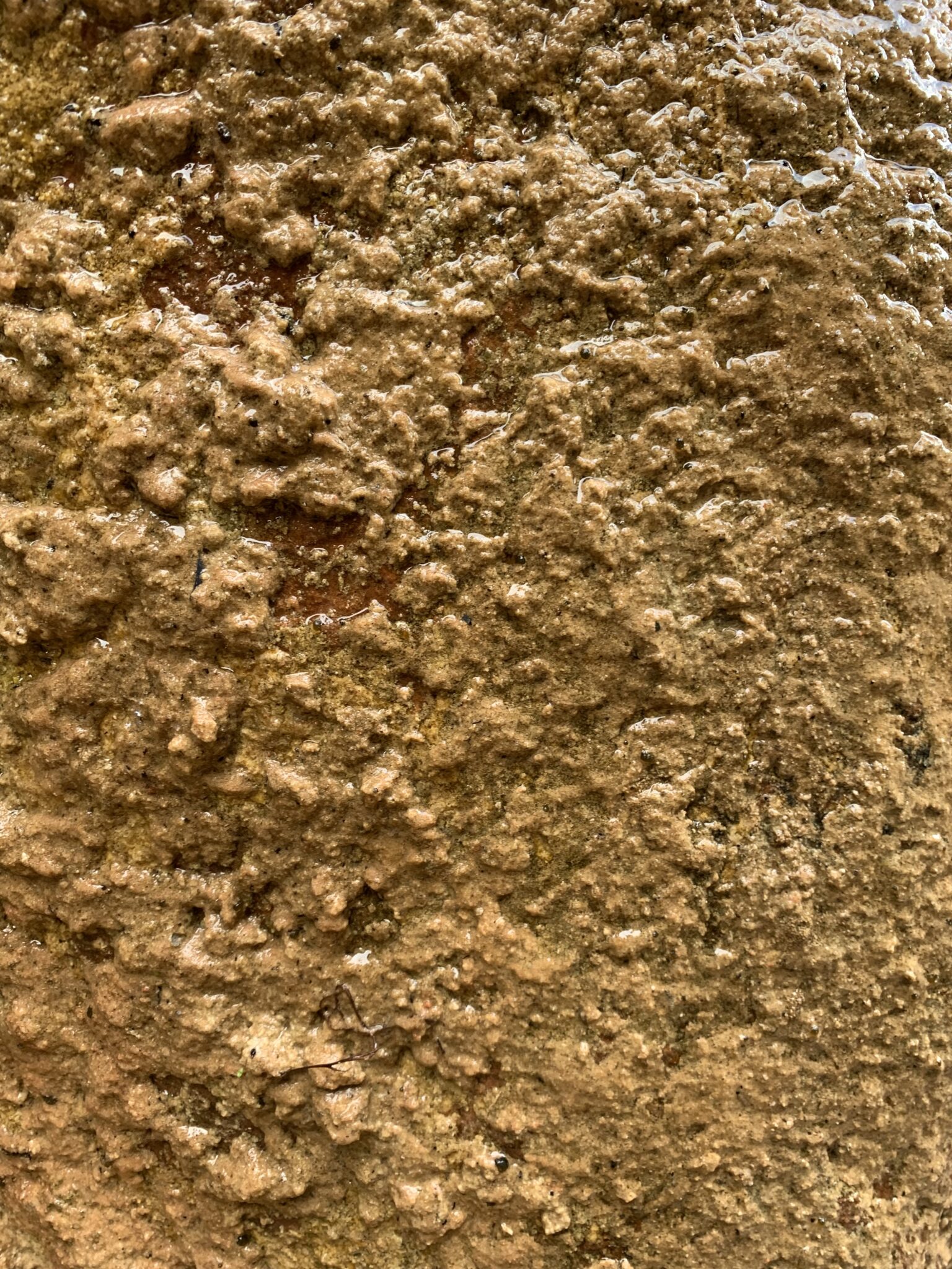 everytexture.com-stock-rocks-texture-00120 | Free Textures
