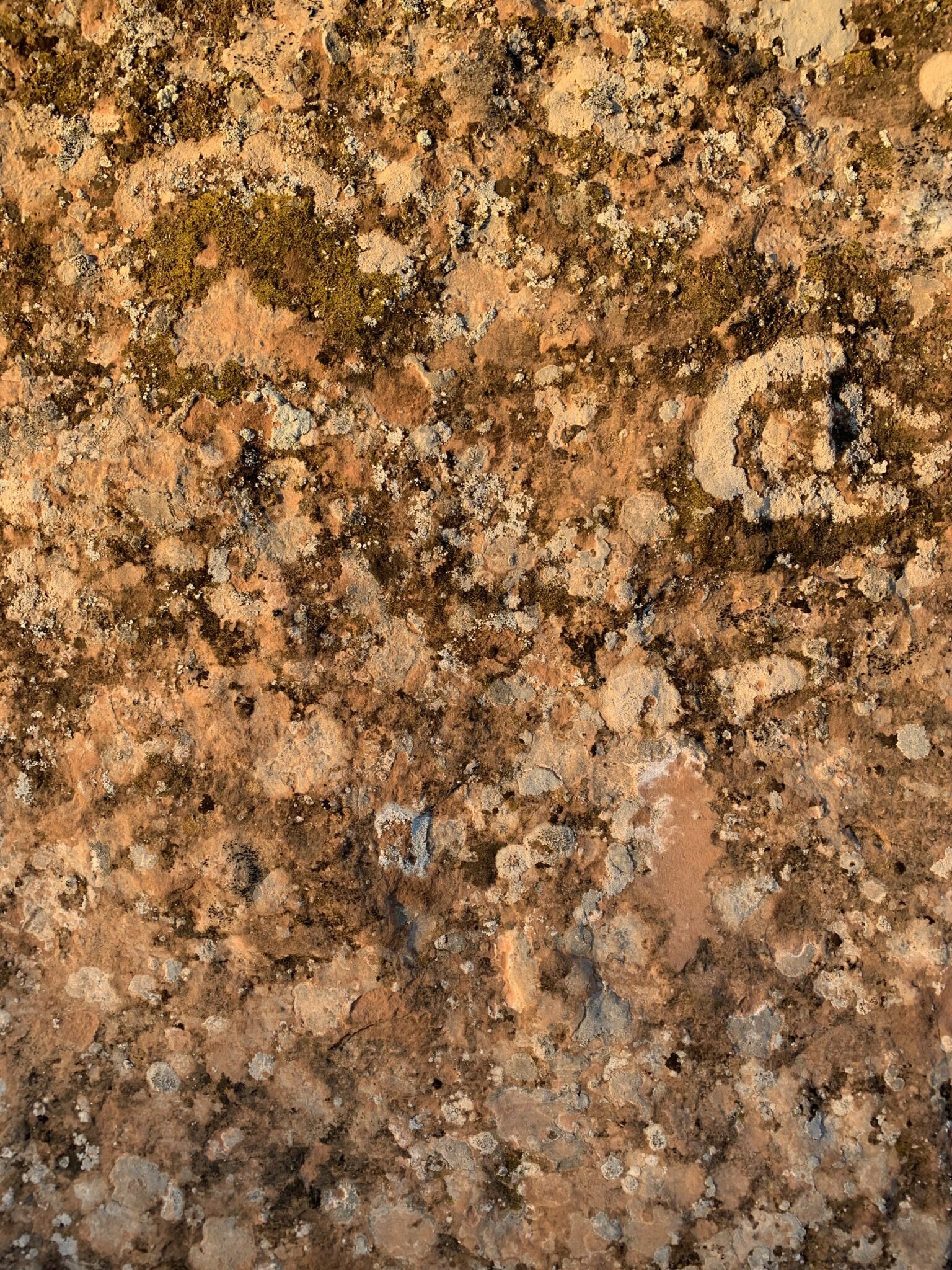 everytexture.com-stock-rocks-texture-00121 | Free Textures