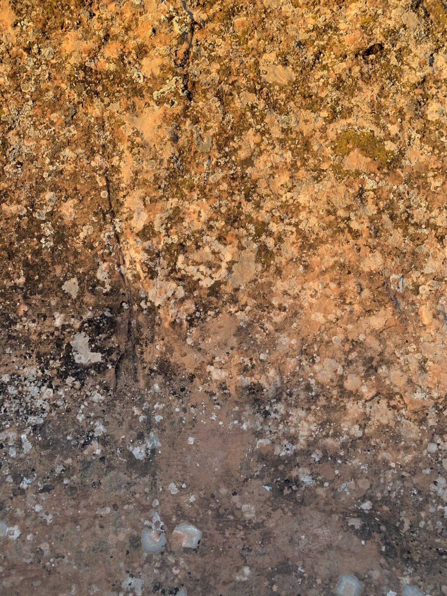 everytexture.com-stock-rocks-texture-00122 | Free Textures