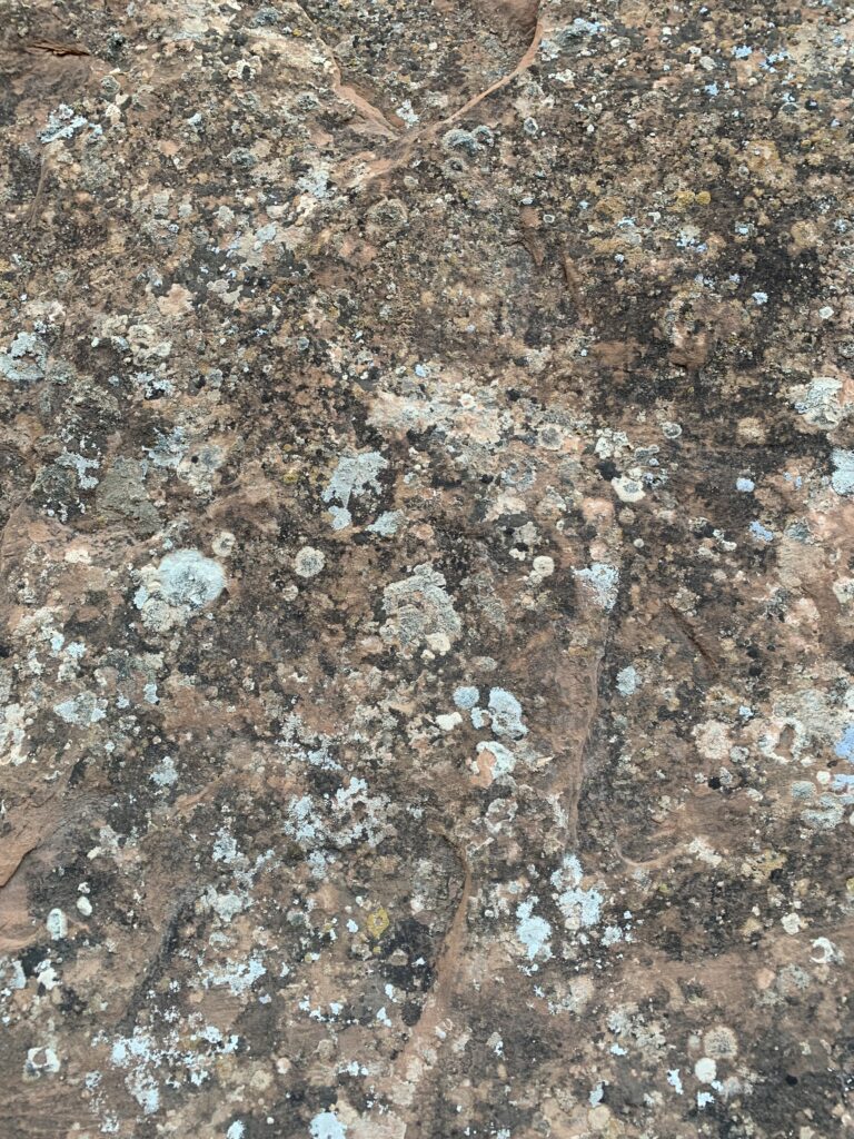 everytexture.com-stock-rocks-texture-00123 | Free Textures