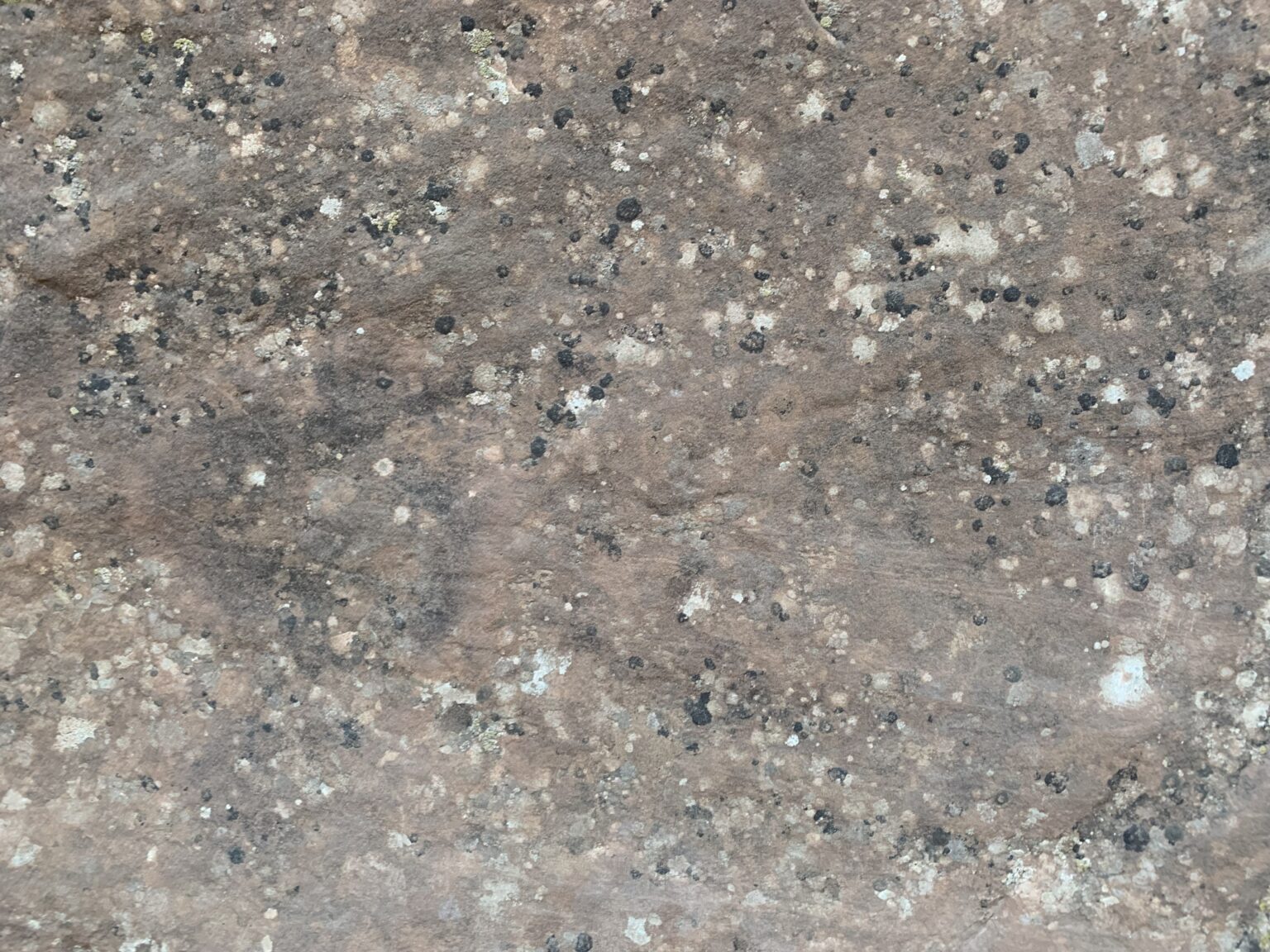 everytexture.com-stock-rocks-texture-00124 | Free Textures