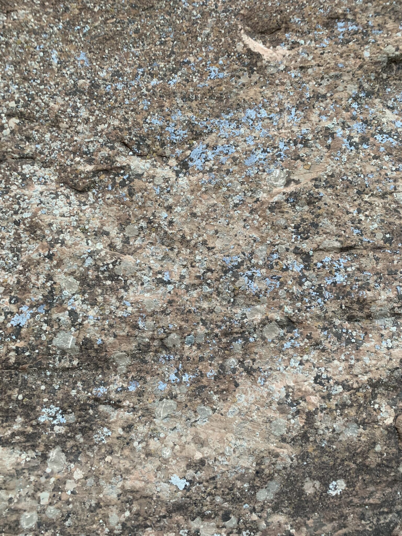 everytexture.com-stock-rocks-texture-00125 | Free Textures