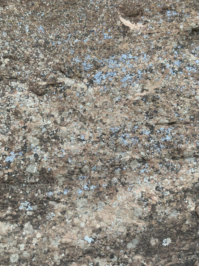 everytexture.com-stock-rocks-texture-00125 | Free Textures